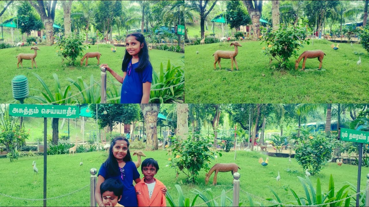 Sunday enjoy kids in Amma park mayanoor , games , natural , water games ...