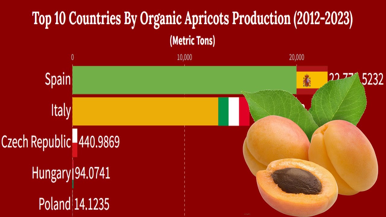 Top 10 Countries By Organic Apricots Production ( 2012 - 2023 )|Smart ...