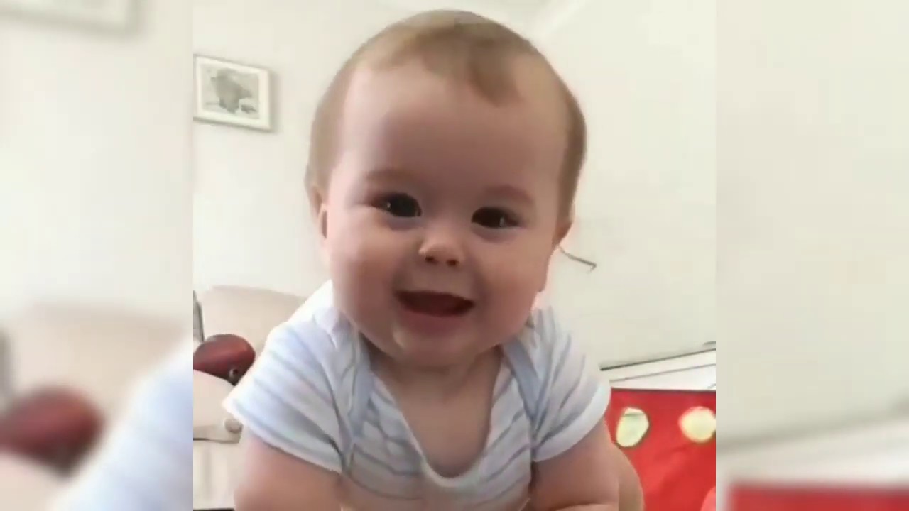 TRY NOT TO LAUGH - Babies Laughing at Everything Funny Baby Video ...