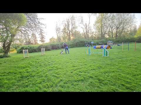 Dora blind cross exercise 1