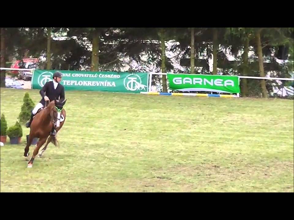 SOLD - Galileo - *2007,stallion by Guidam Sohn,1,30m jumper, www ...