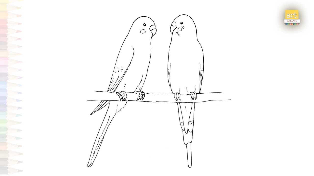 Budgie on the branch drawings easy | Parrot outline sketches | How to ...