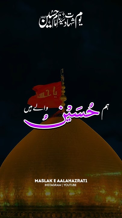 Ham Hussain Wale Hain Status | Imam Hussain Status | Karbala Status | Panjatan Paak Status #raza ...