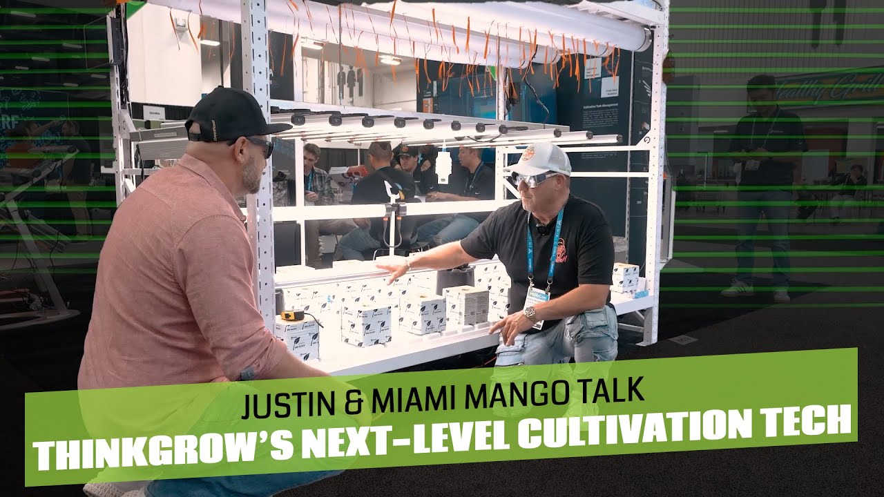 Justin & Miami Mango Talk ThinkGrow’s Next-Level Cultivation Tech - YouTube