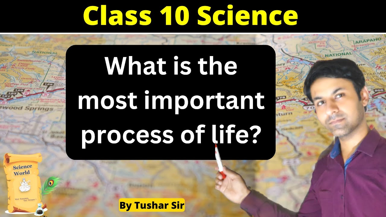 What is the most important process of life? | CBSE | Science World ...