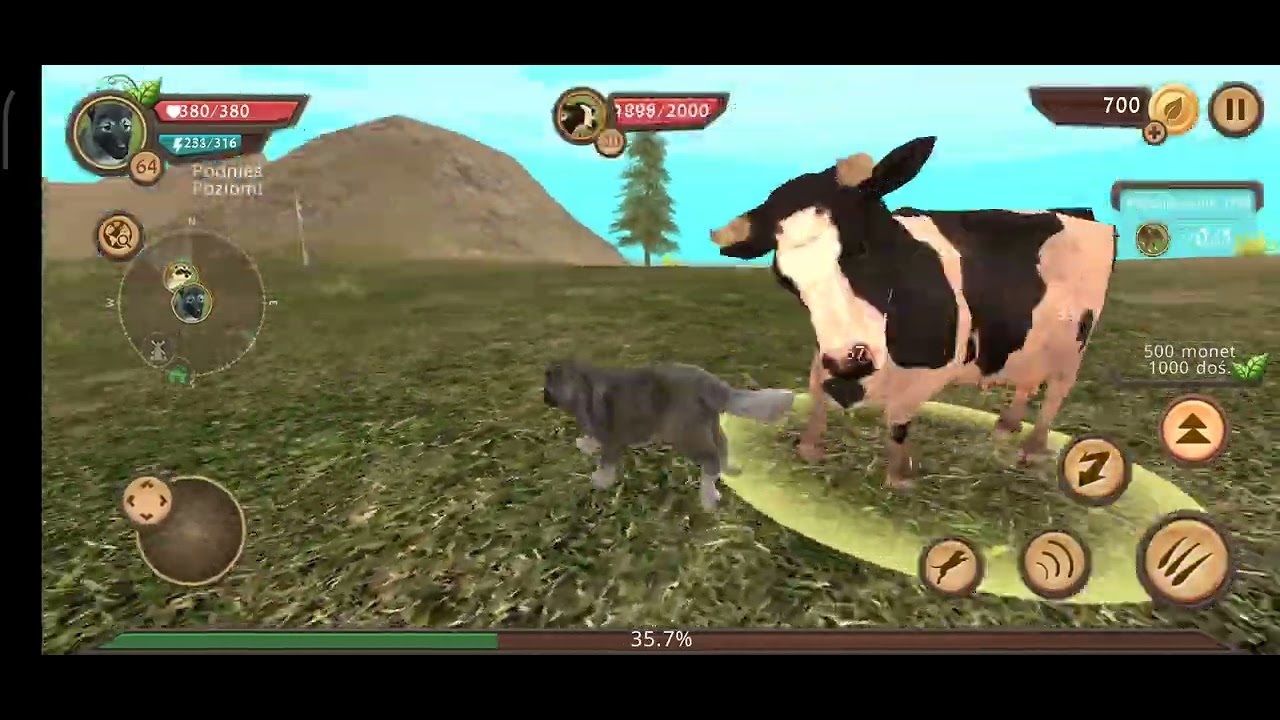 killing hief cow boss - YouTube