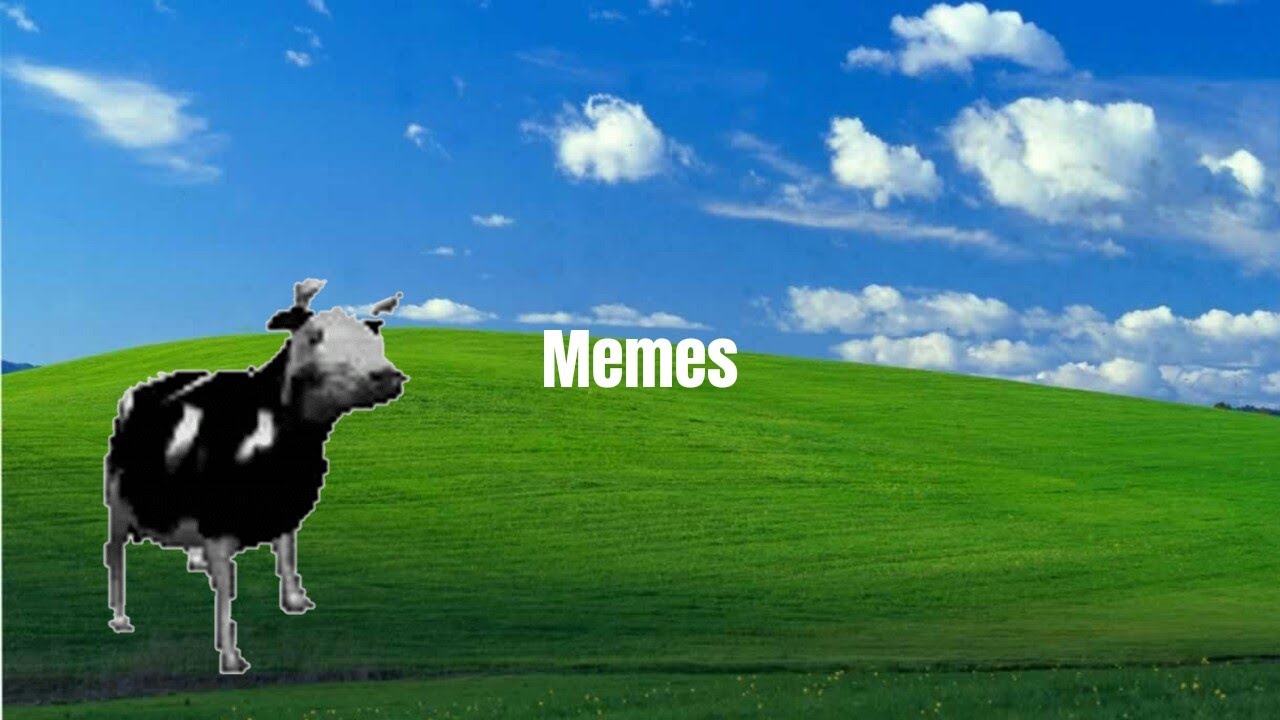 Dancing Polish Cow gets with some memes - YouTube