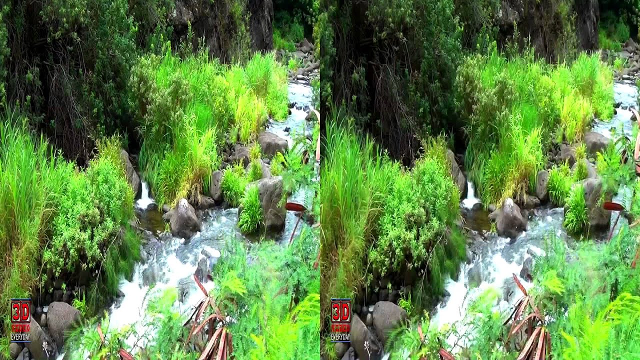 3D Video Stream Hawaii Nature Scene - 3D Video Everyday N°280 - YouTube
