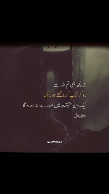 InShaAllah 🥀🕊️ #islamicquotes #urduquotes #deepquotes #allahquotes # ...