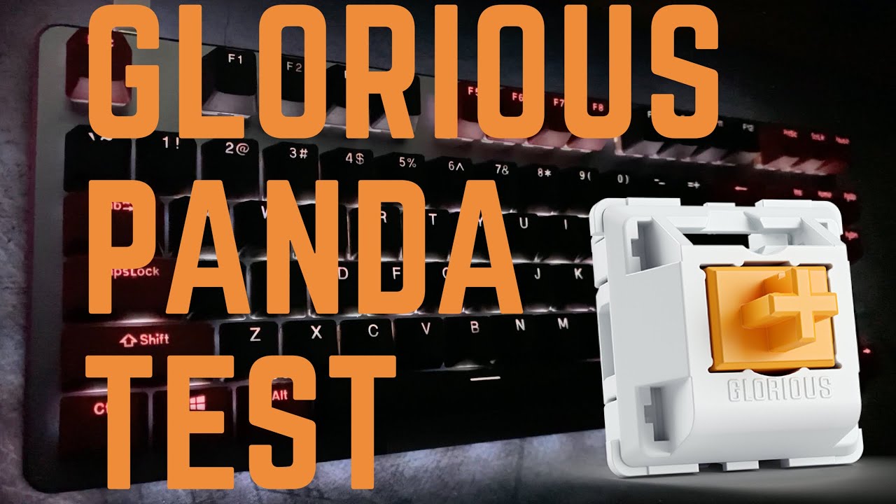 Glorious Panda Switch Sound Test (Lubed & Filmed) - YouTube