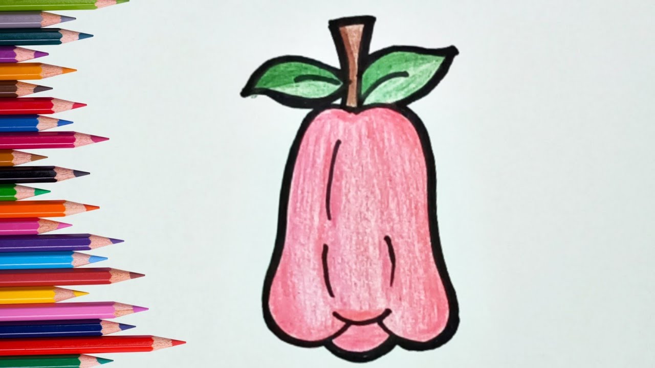 Cara Menggambar Jambu Air | How To Draw a Guava - YouTube