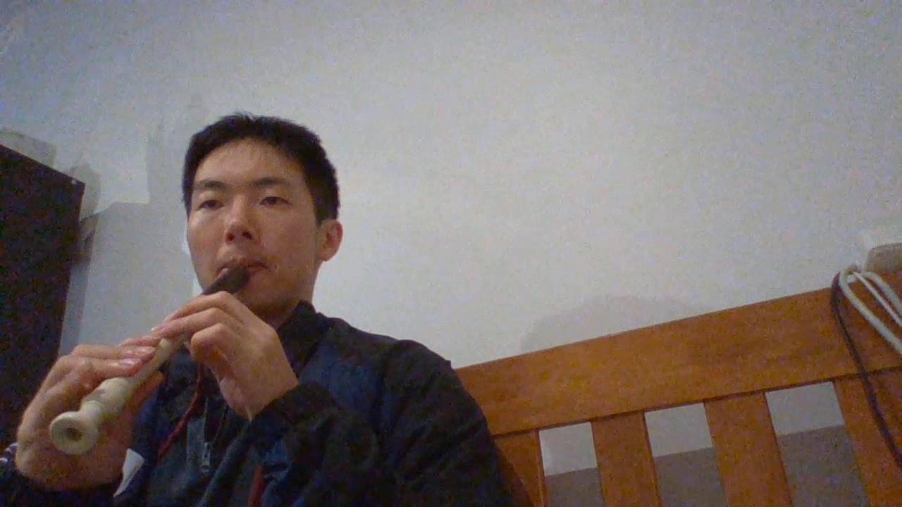 Shakuhachi headjoint on recorder attempt 2 - 鸳鸯蝴蝶梦 - YouTube