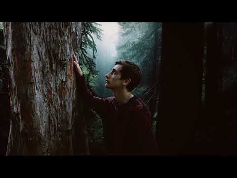 "Hideout" by Watt Key Book Trailer - YouTube