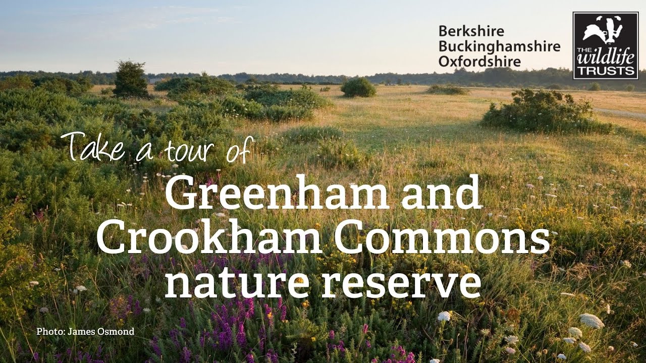 Take a tour of Greenham and Crookham Commons - YouTube