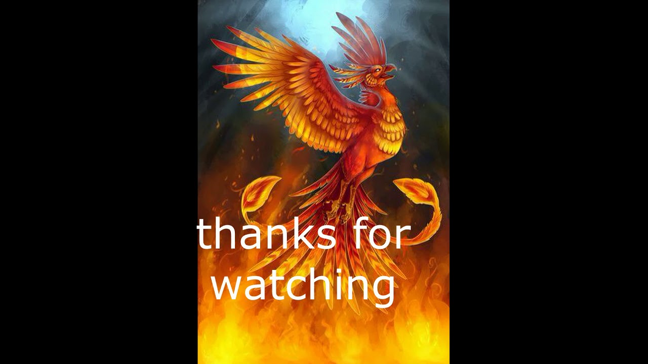 the phoenix pet spell - YouTube