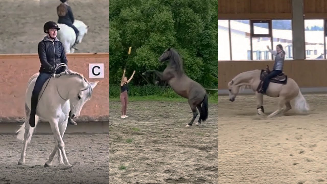 Liberty & Freeriding Compilation pt 3 - YouTube