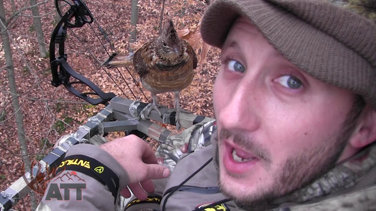 Hunter Gets Attacked By Grouse! - YouTube