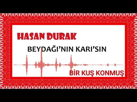 Hasan Durak - Bir Kuş Konmuş