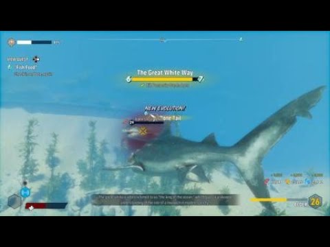 Apex Great White Shark boss fight (No upgrades) | ManEater - YouTube