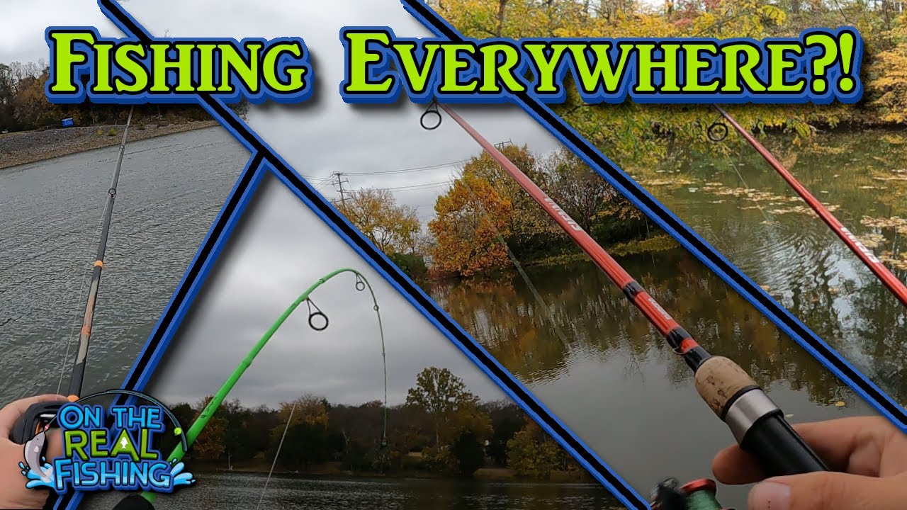 Just Fishing EVERYWHERE with ANYTHING for WHATEVER - YouTube