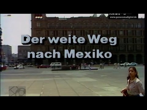 Vorschau auf WM-Qualifikationsgruppe für Mexiko 1986 mit Verbandstrainer Dr. Dieter Fuchs, 07/1984