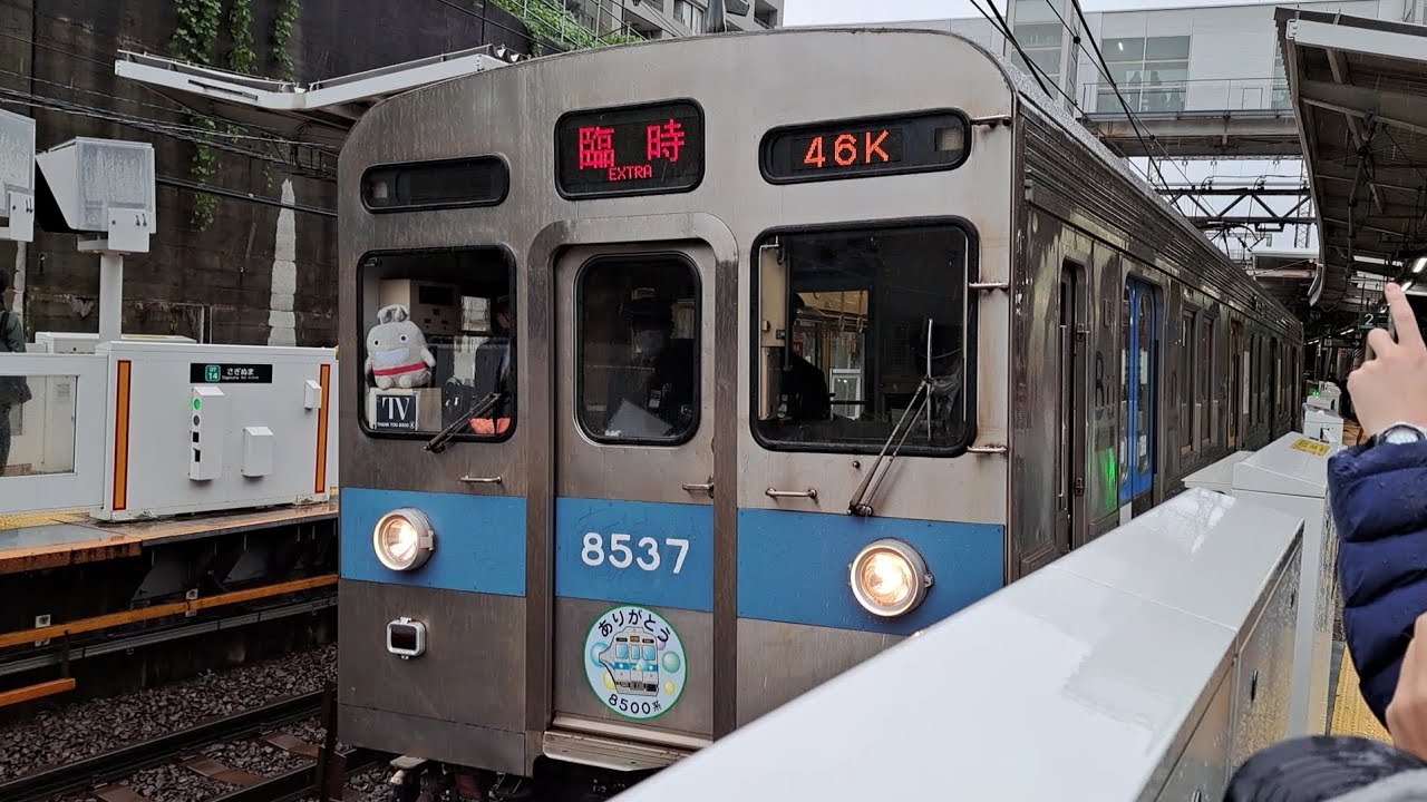 【クラツー団臨ラストラン(復路)】東急8500系8637編成(Bunkamura号・青帯・ありがとうハチゴーHM)が警笛を鳴らして鷺沼駅2番線を発車するシーン(臨46K) 撮影日2022.11 ...