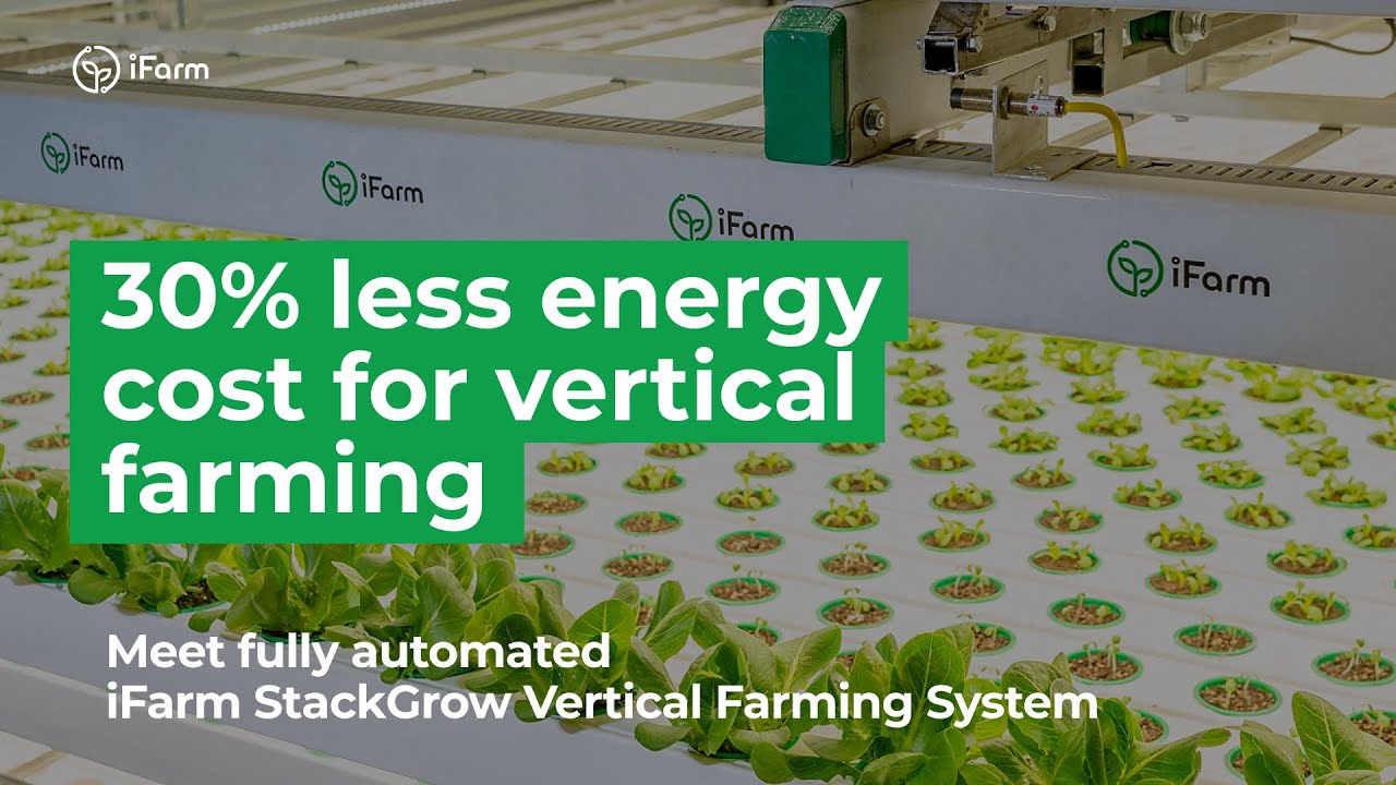 How iFarm improved energy cost for vertical farming 🤖 - YouTube