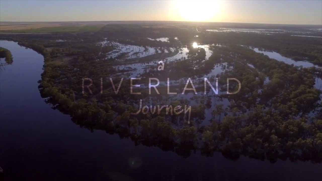 Murray River Bird aerial video - Riverland, South Australia - Discover ...