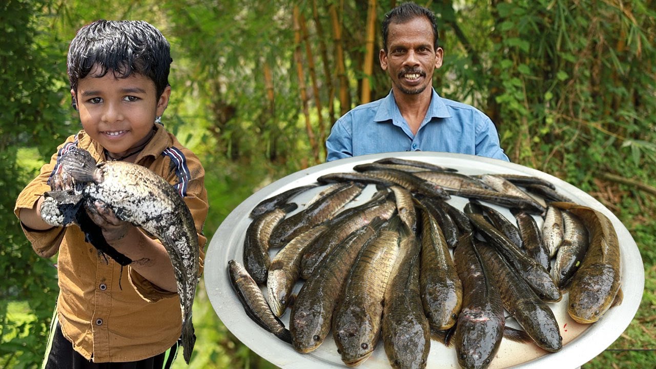 നാടൻ വരാൽ മസാല | SNAKE HEAD MURREL FISH | Varal fish masala - YouTube