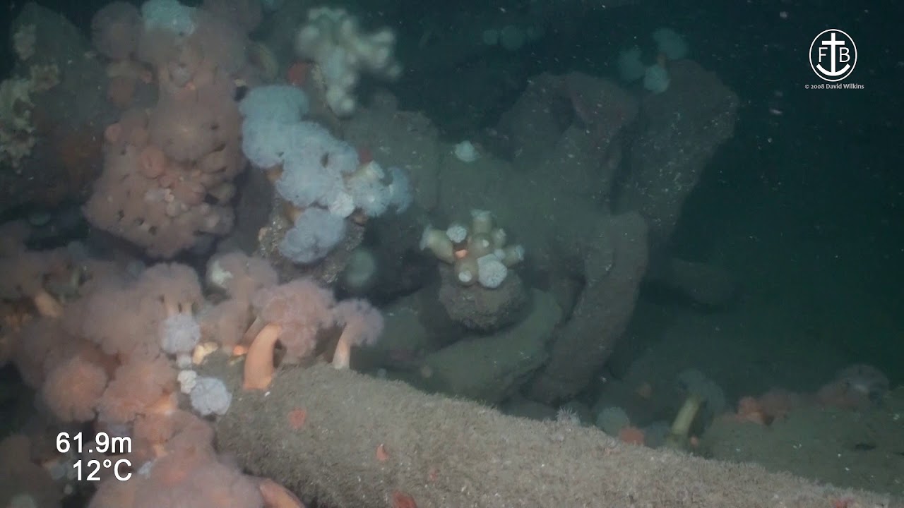 The Compass Rose Wreck - YouTube