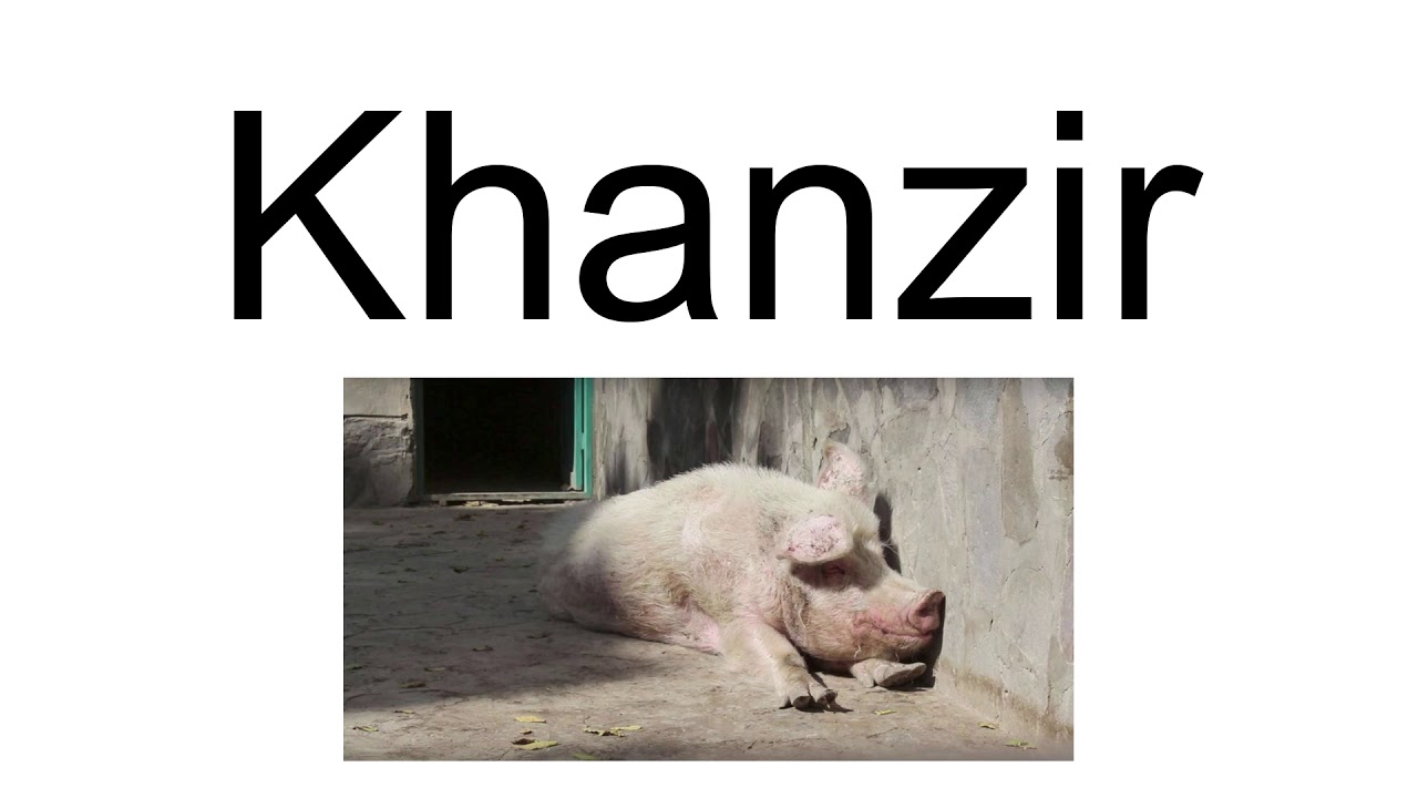 Khanzir - YouTube