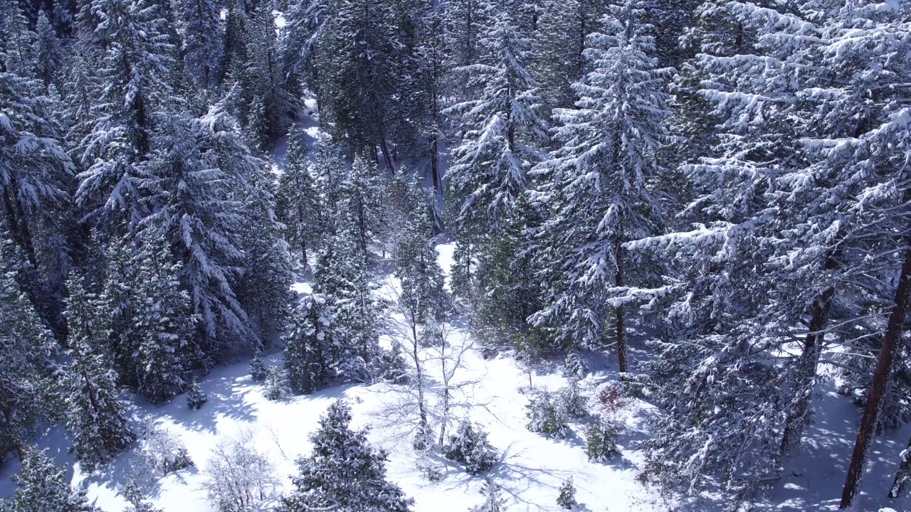 Winter in Ashland - YouTube