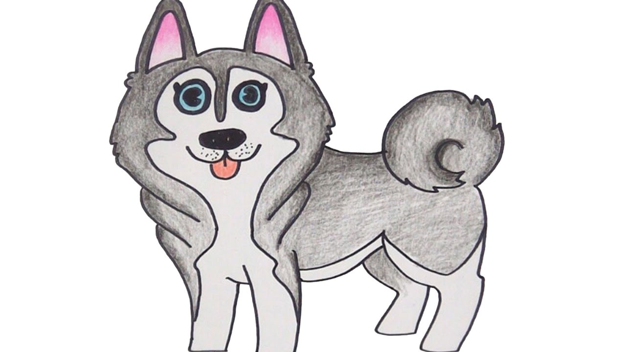 How To Draw Siberian Husky Cartoon - YouTube