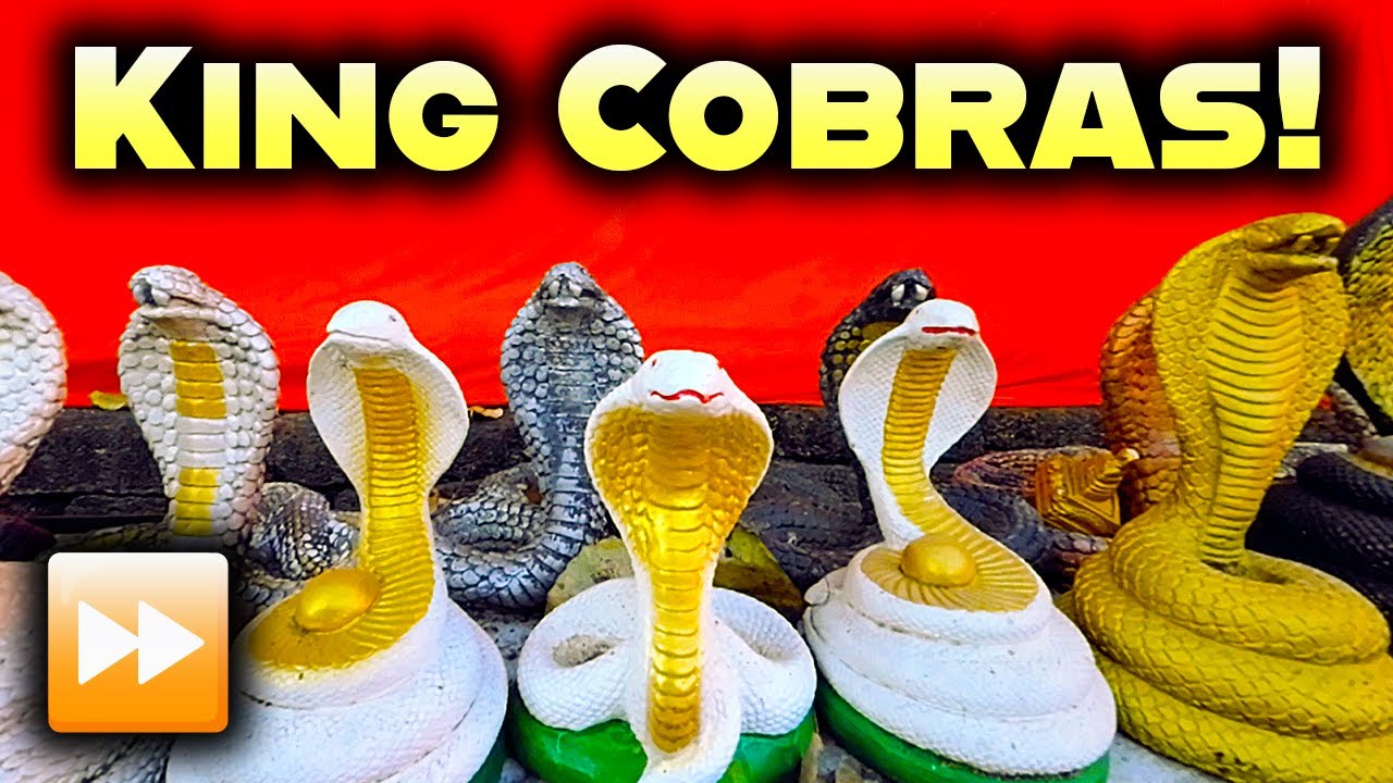 See Thailand's Snake Temple in 3 Minutes! 🇹🇭 Chiang Mai Attractions ...