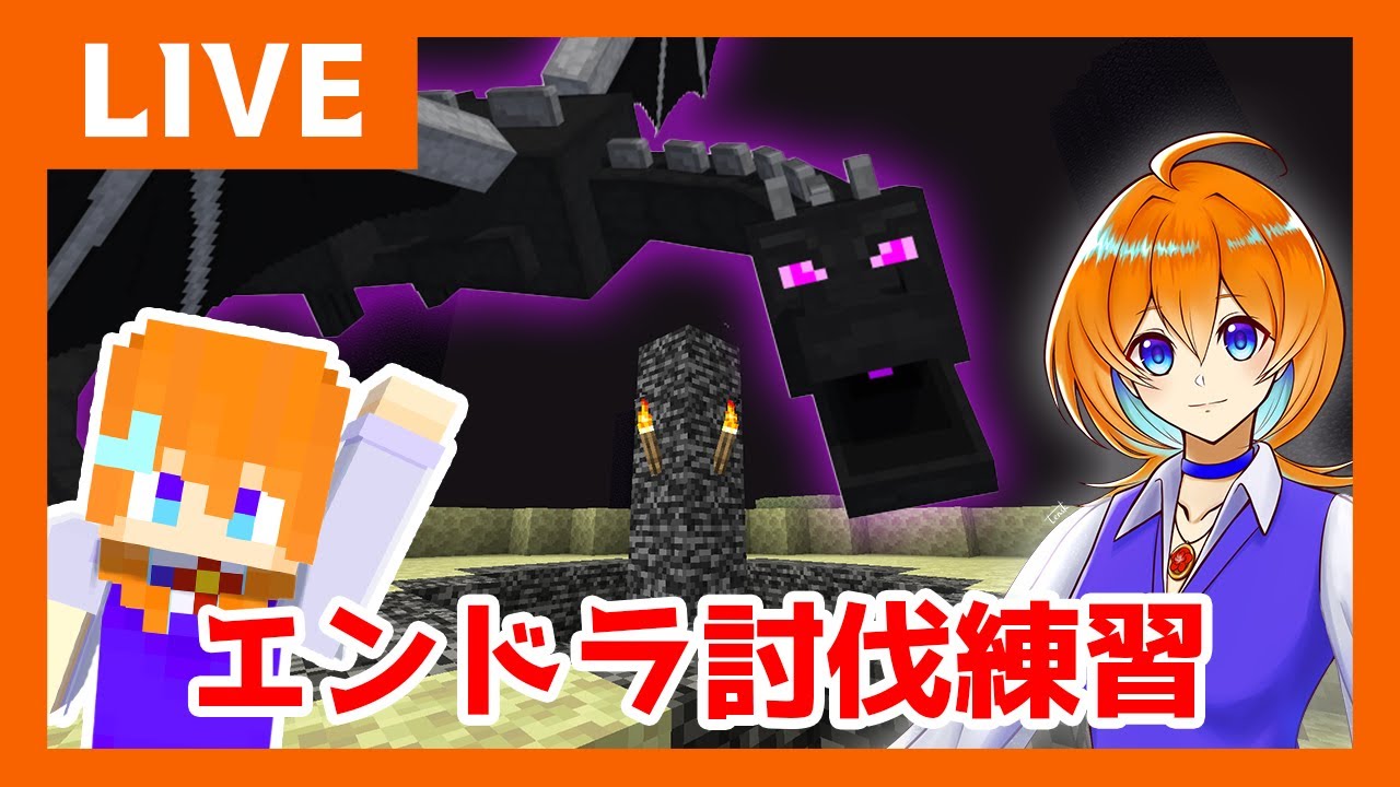 【マイクラ】エンドラ討伐RTA練習！Java版1.16.1！今夜エンドラ討伐リレーに向けて！応援お願いします！【Minecraft】 ＃マイクラ ＃マインクラフト ＃Minecraft ...