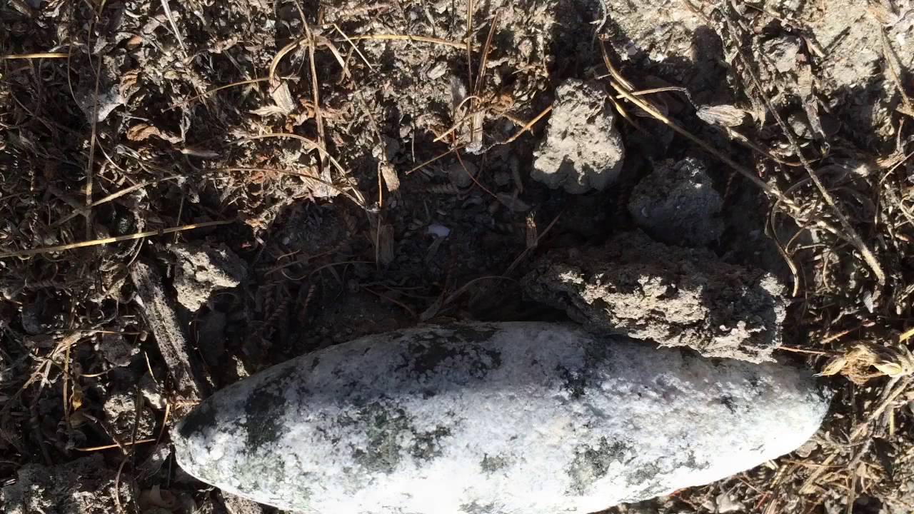 Midwest Company - YouTube