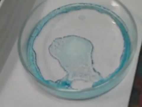Crystals of copper acetate - YouTube