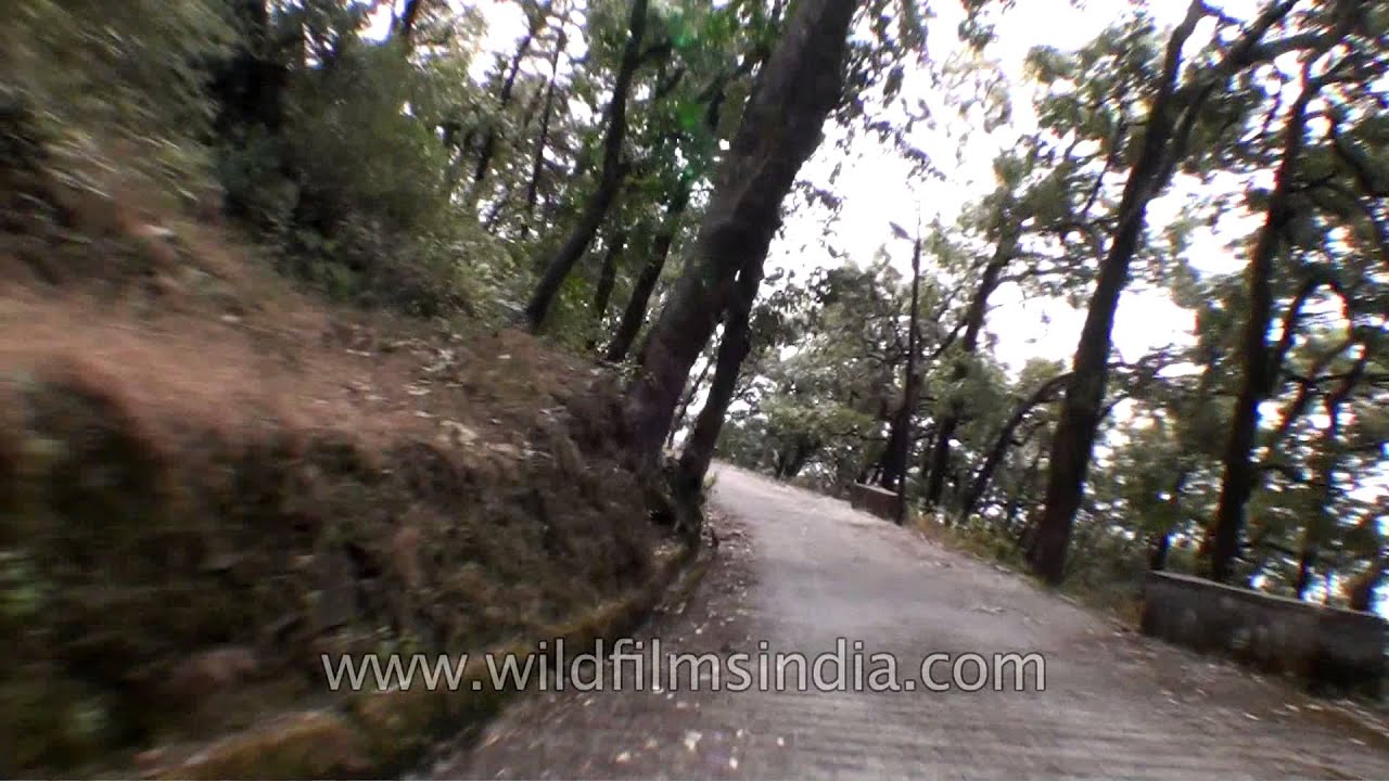 Driving through Forest Department office, Mussoorie to Dehradun - YouTube