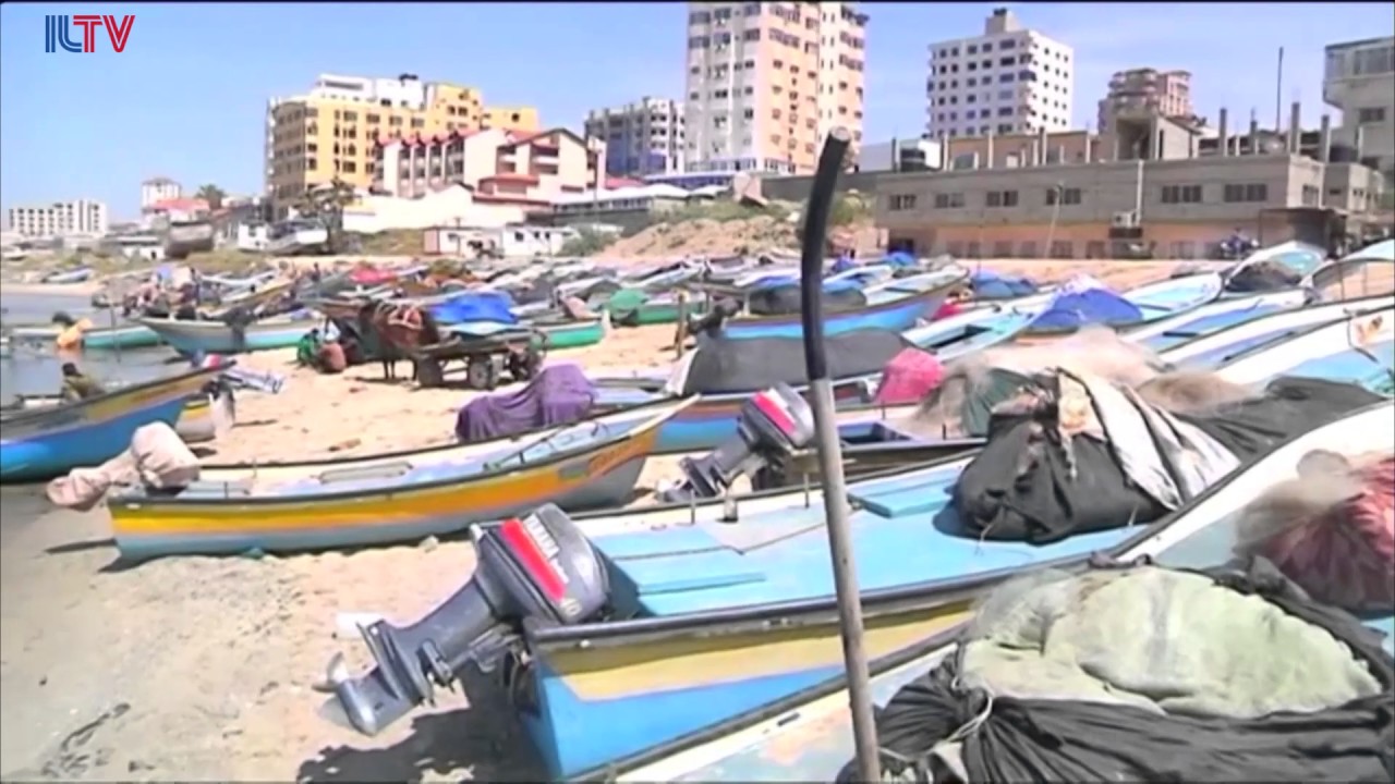 Could the Gaza Strip Become a Floating Island? - YouTube