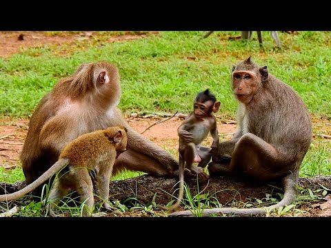 Beautiful Moment of Grandma Cara Spend  Time to See JoJo and Mom Juliana