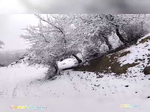 Qəbələ Qaradeyin kəndi