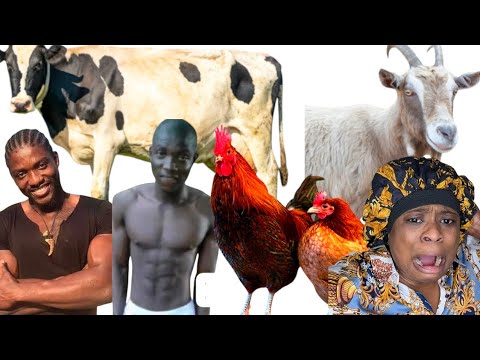 See how VDM help cow, goat In Abuja thank VDM for been honest. - YouTube