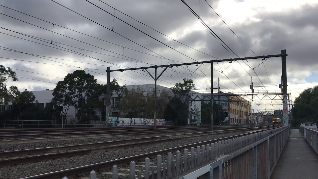 Comeng Emu Frankston - 29/5/19 - YouTube