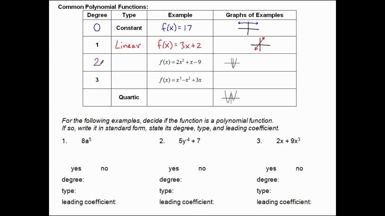 Introduction to Polynomial Functions - YouTube