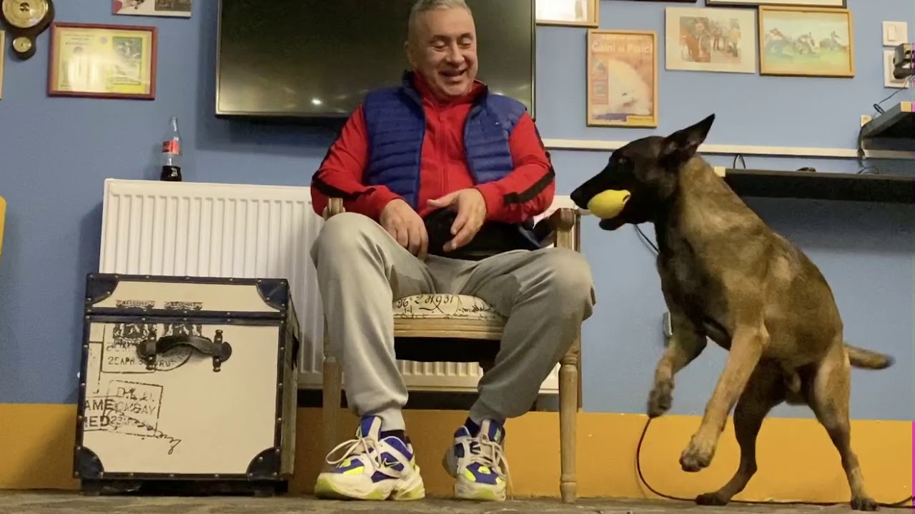 Pregatire Boost din Canisa Romano - YouTube