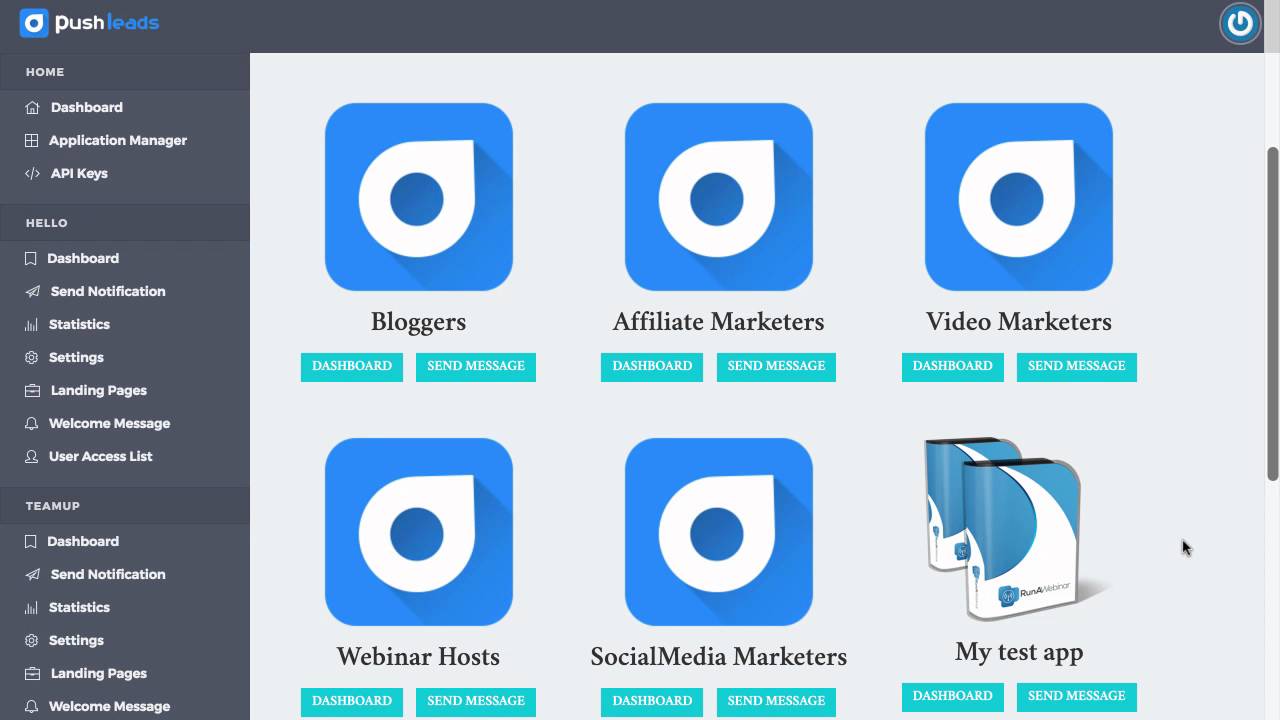 Push Leads salespage demo - YouTube