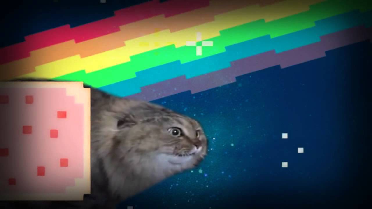 NONONONO NYAN Cat.mp4 - YouTube