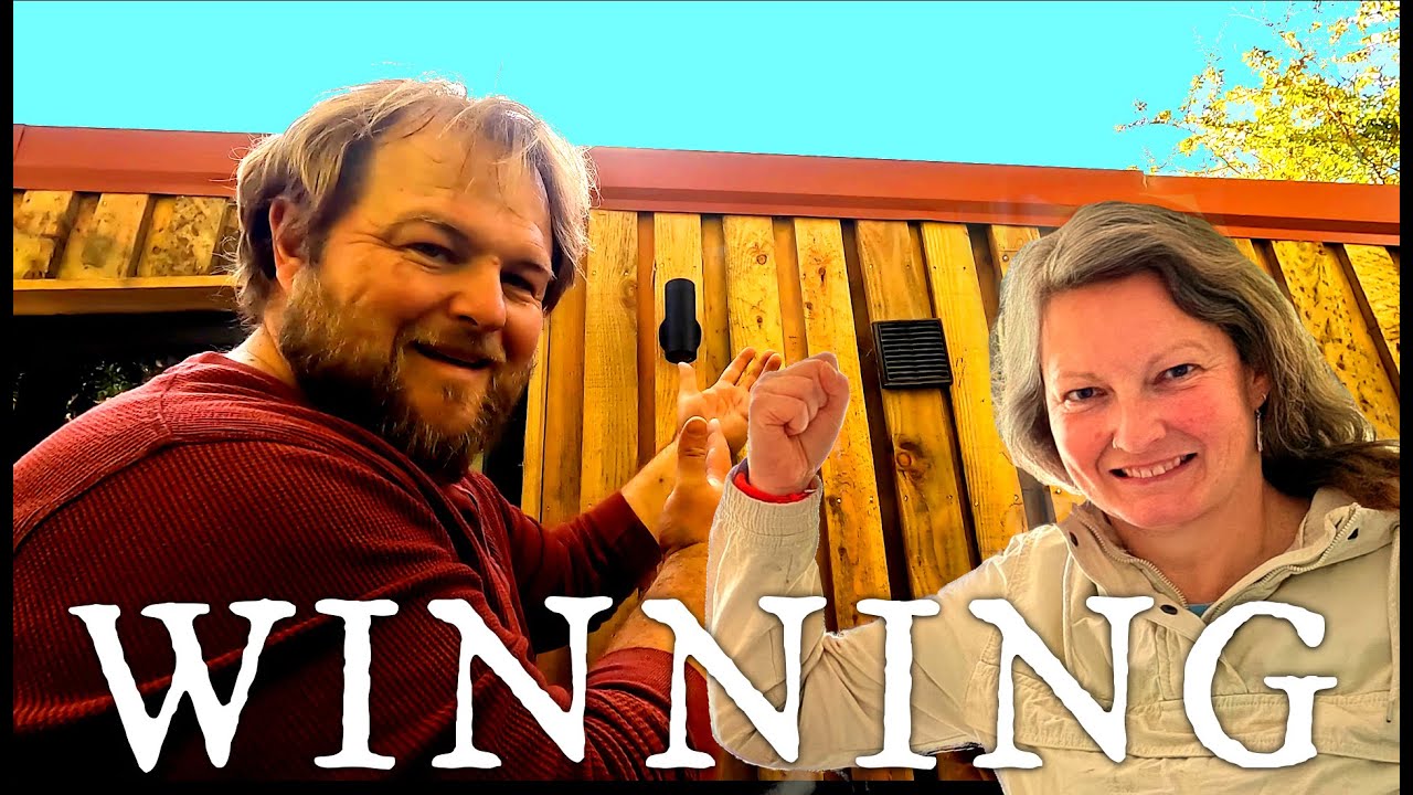 EP102: The Journey Continues: Building Our Dream Homestead in the Irish ...