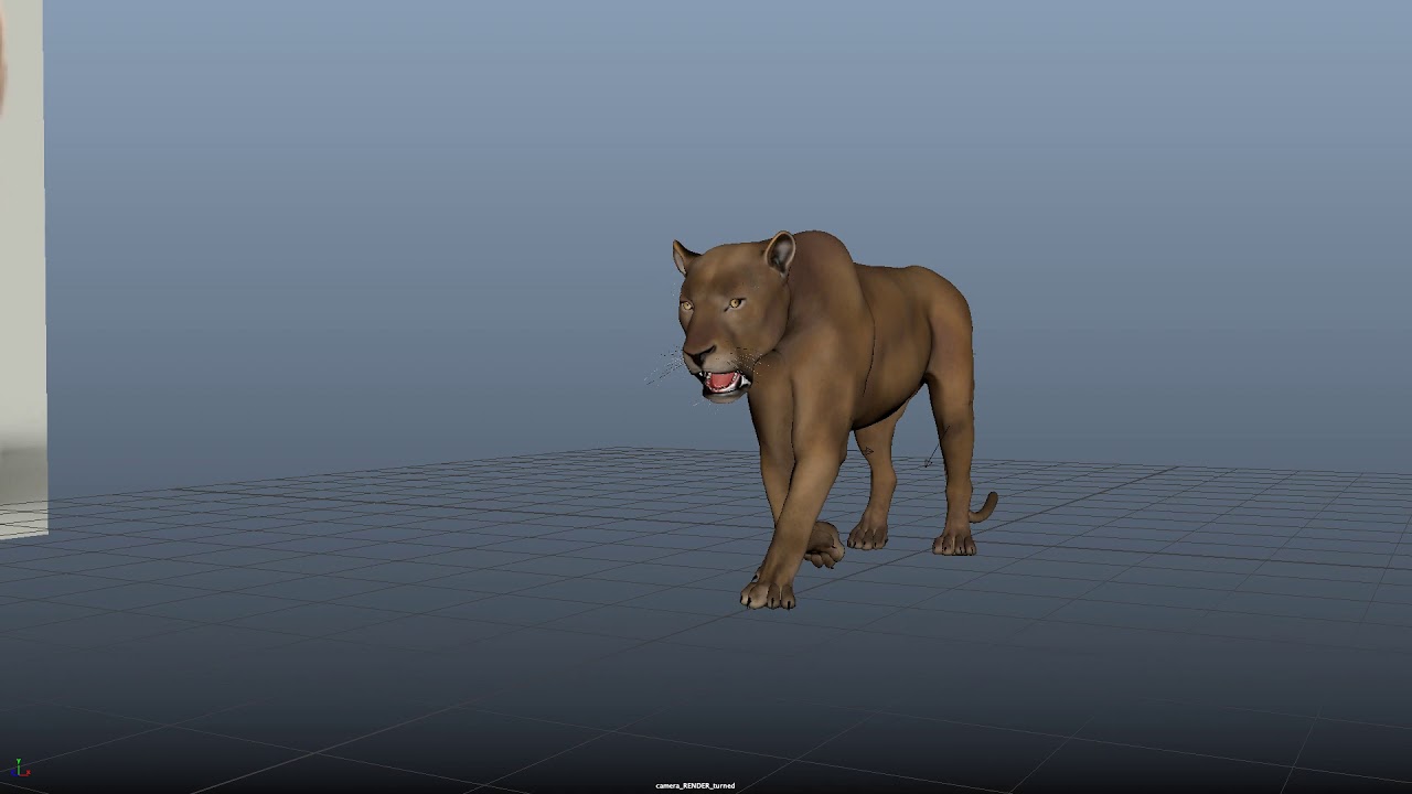 Tail_animation added_turned view - YouTube