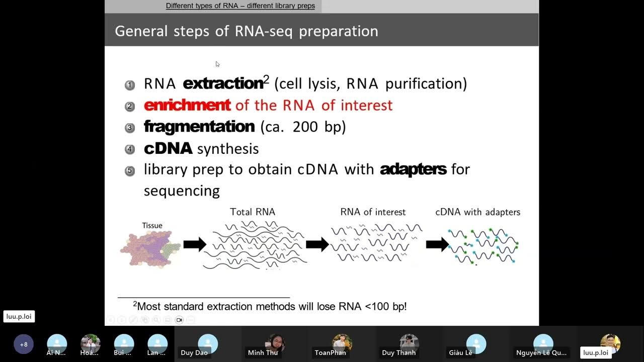 Bulk RNA-seq 6: Design a Bulk RNA-seq experiment - YouTube